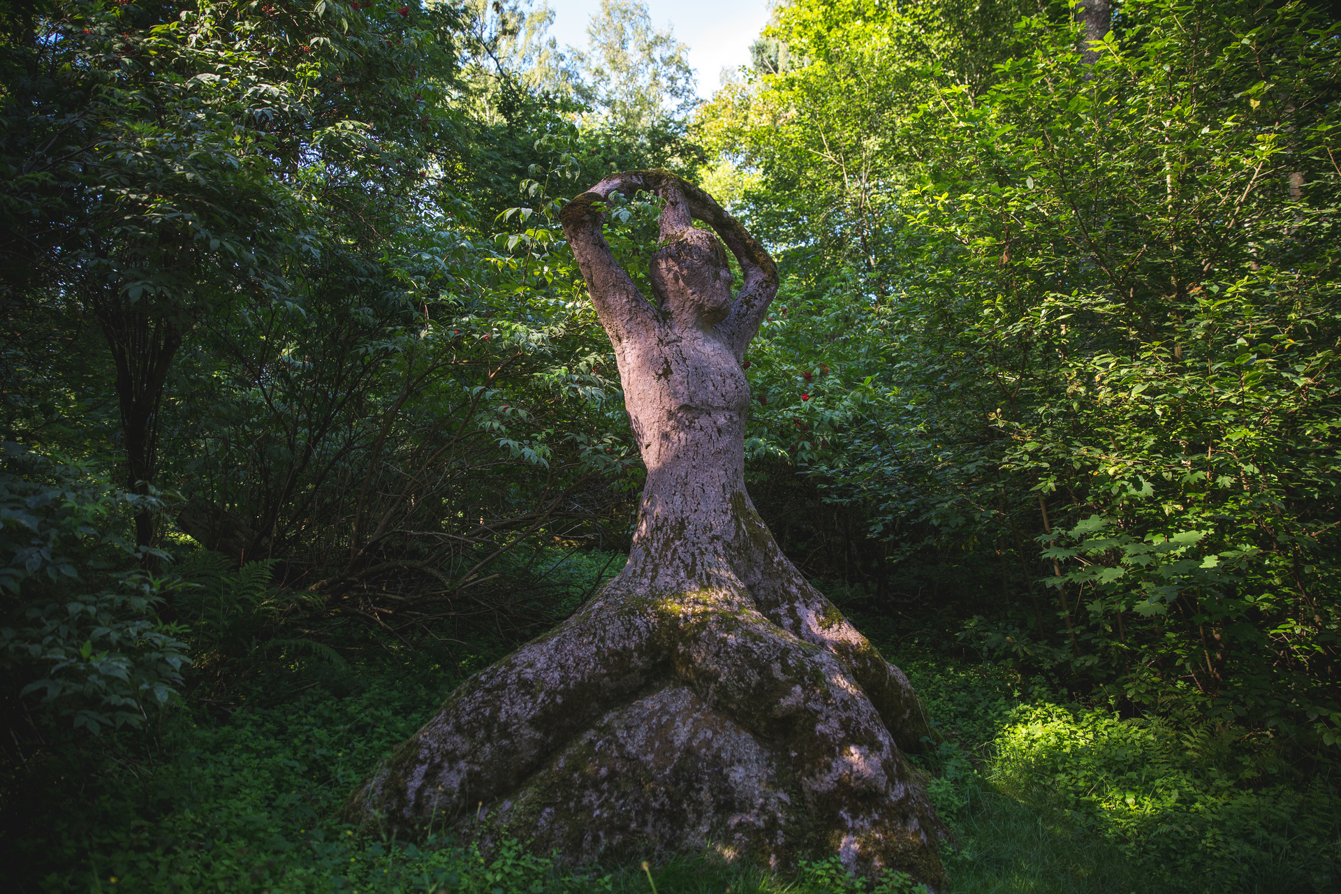 30-vuotias Lanu-puisto on täynnä tapahtumia - Lahti
