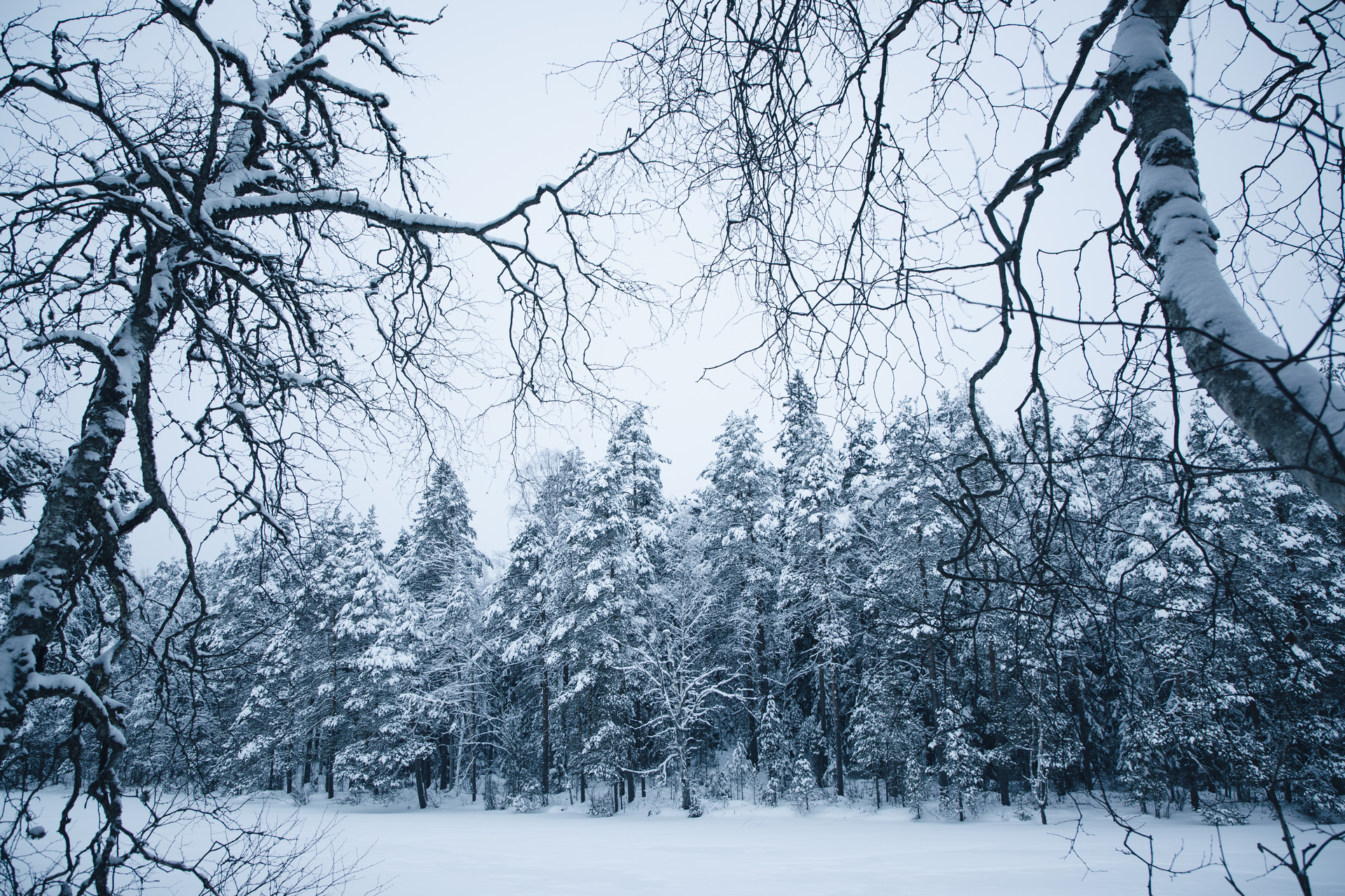 Salppurin talvikunnossapidettävä Talvipolku innostaa liikkumaan ...